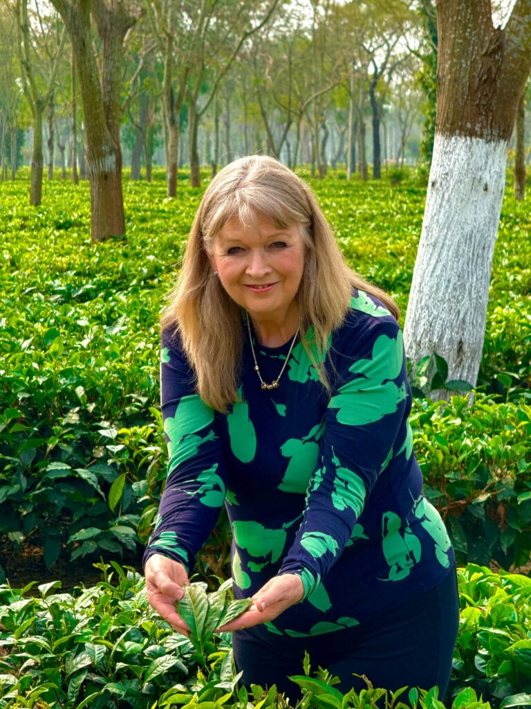 CORE.02 Tea Enhancements and Grading Systems – World Tea Academy