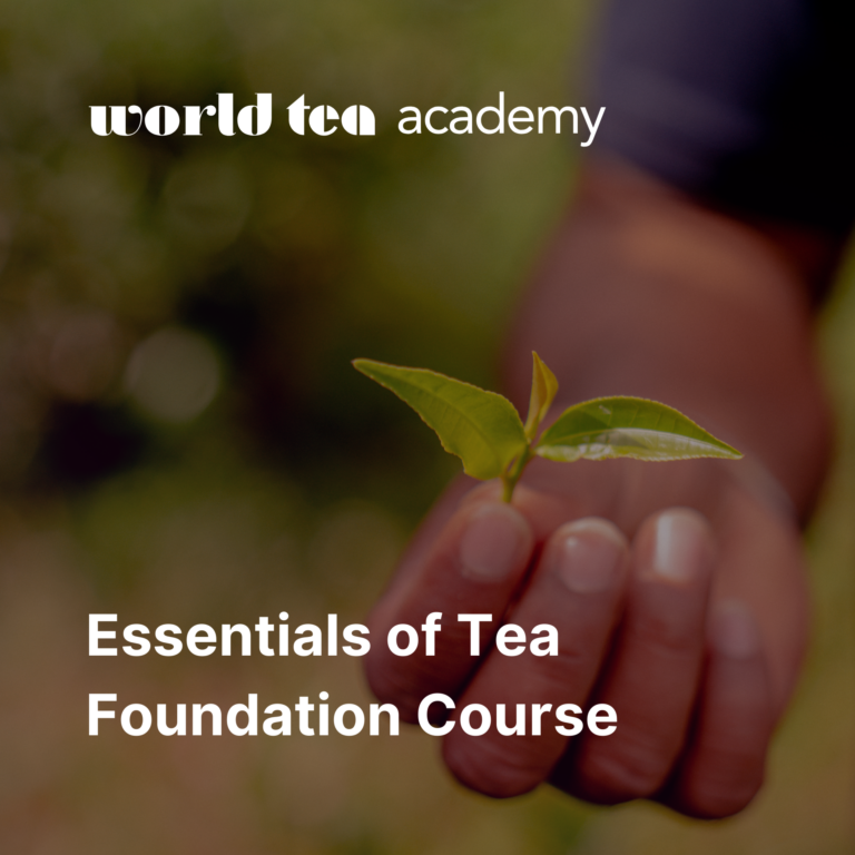 World Tea Academy – Online Tea Education and Certification