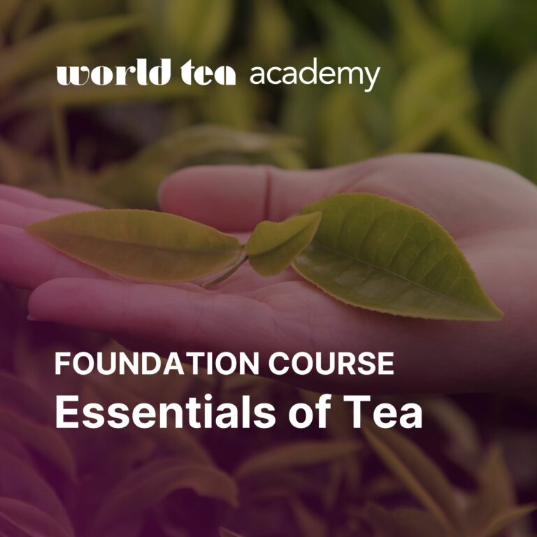 World Tea Academy – Online Tea Education and Certification