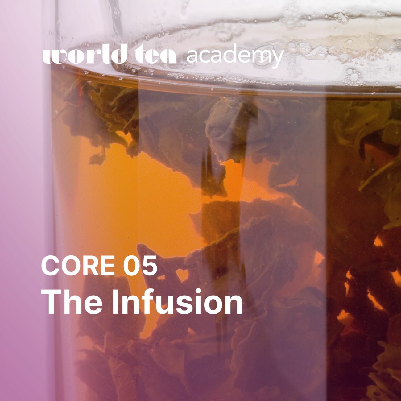 CORE.05 – The Infusion – World Tea Academy