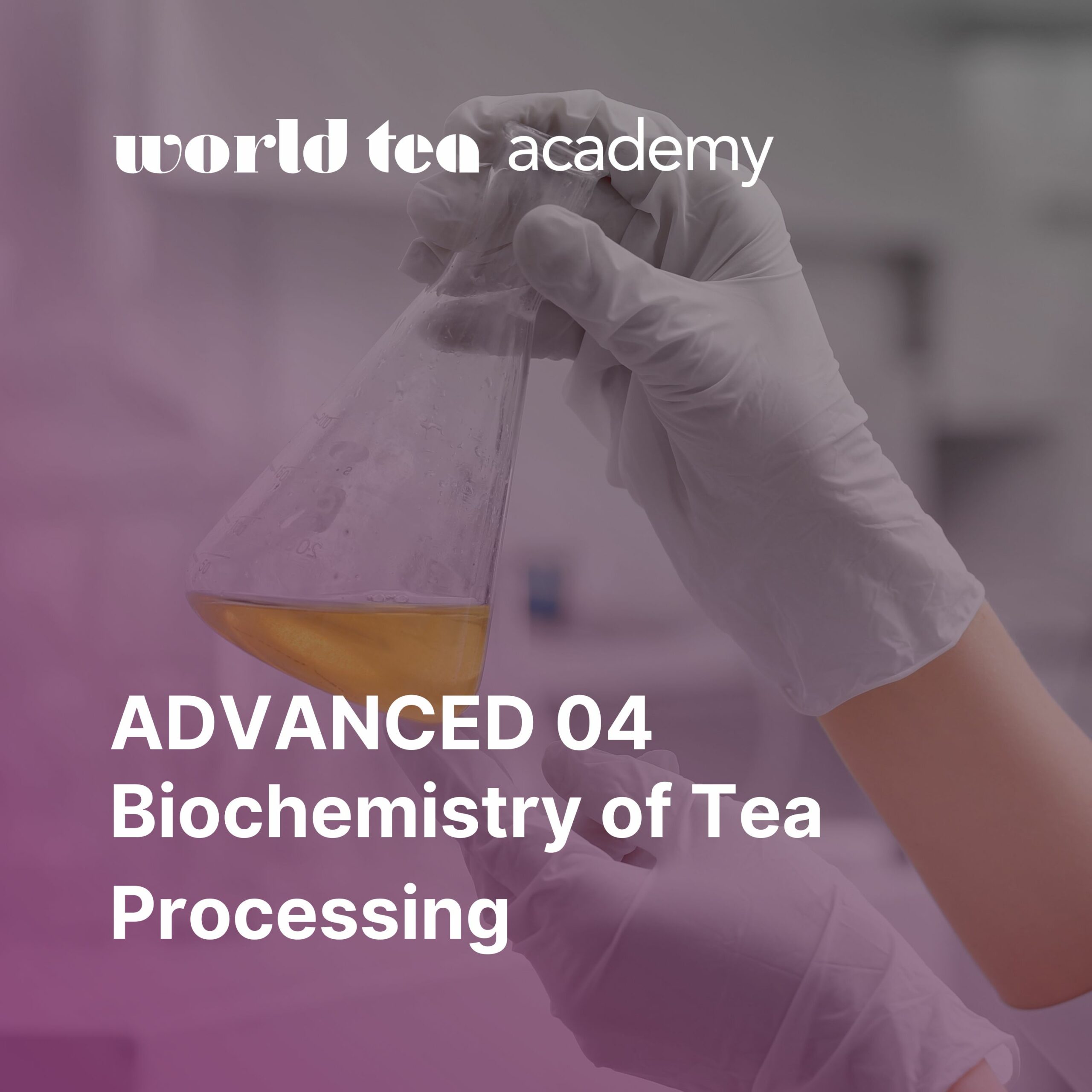 ADV.04 The Biochemistry of Tea Processing – World Tea Academy