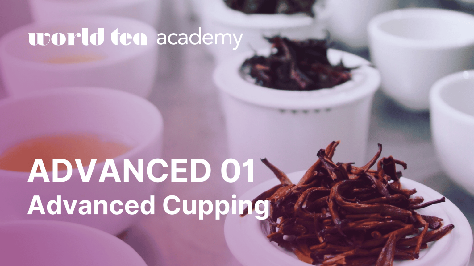 ADV.01 Advanced Cupping – World Tea Academy