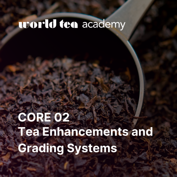 World Tea Academy – Online Tea Education and Certification