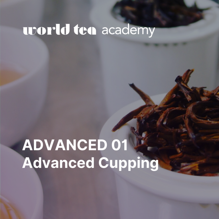 World Tea Academy – Online Tea Education and Certification