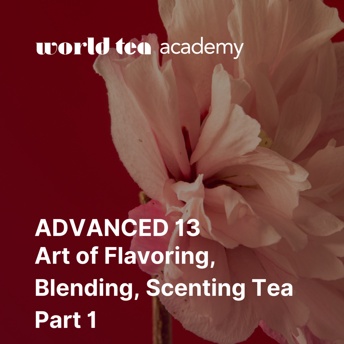 ADV.13Art of Flavoring, Blending, Scenting Tea Part 1 – World Tea Academy