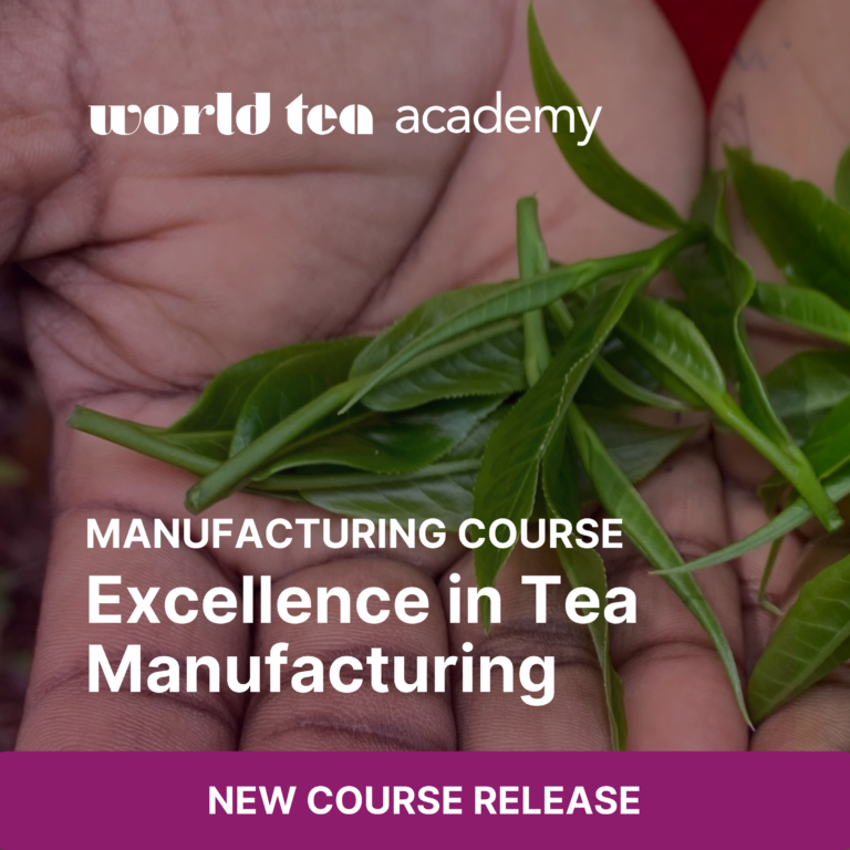 World Tea Academy – Online Tea Education and Certification