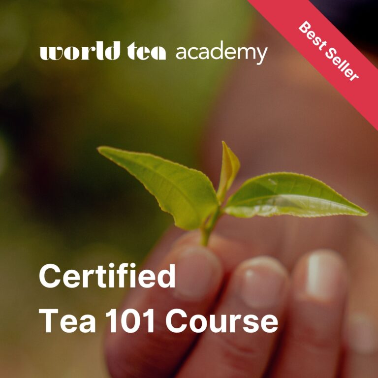 Shop – World Tea Academy