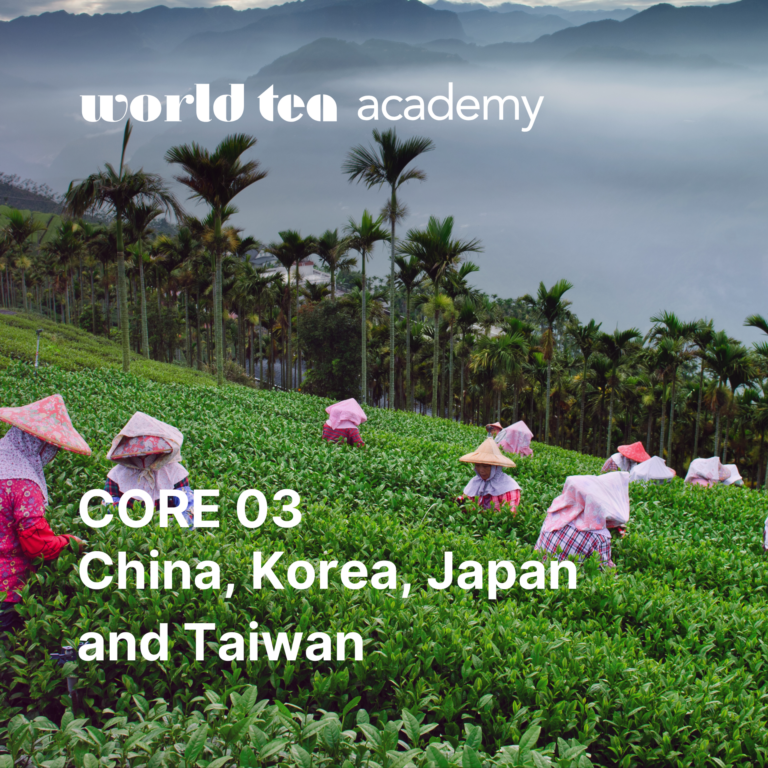 How to Become a Certified Tea Sommelier – World Tea Academy