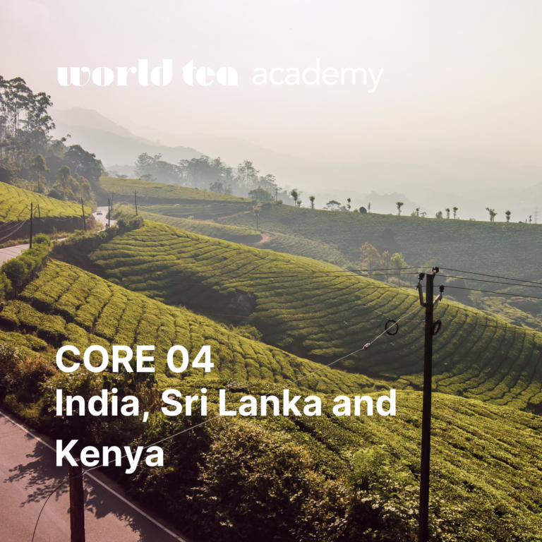 How to Become a Certified Tea Sommelier – World Tea Academy