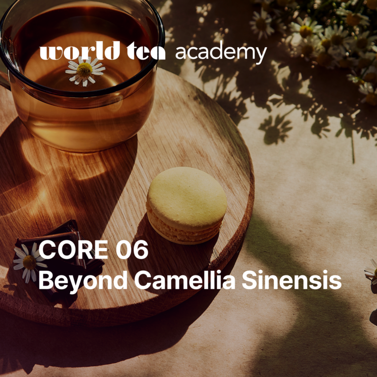 How to Become a Certified Tea Specialist – World Tea Academy