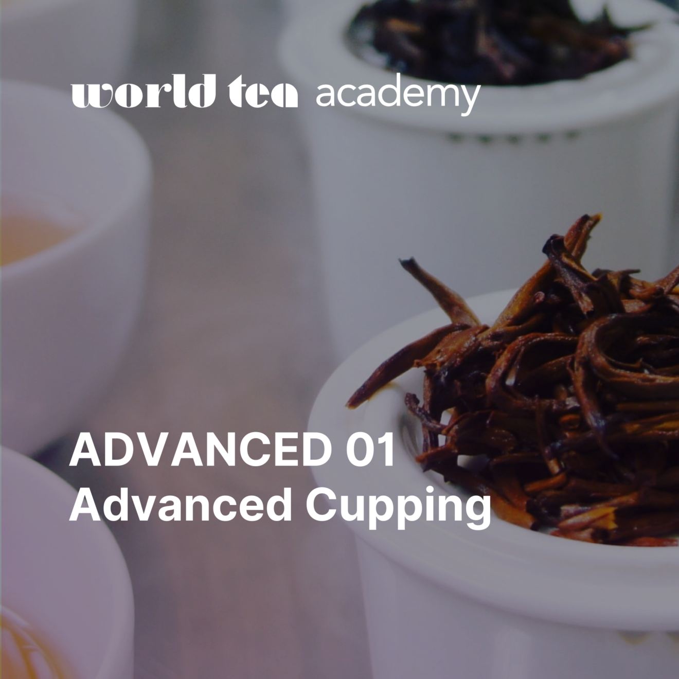 How to Become a Certified Tea Specialist – World Tea Academy