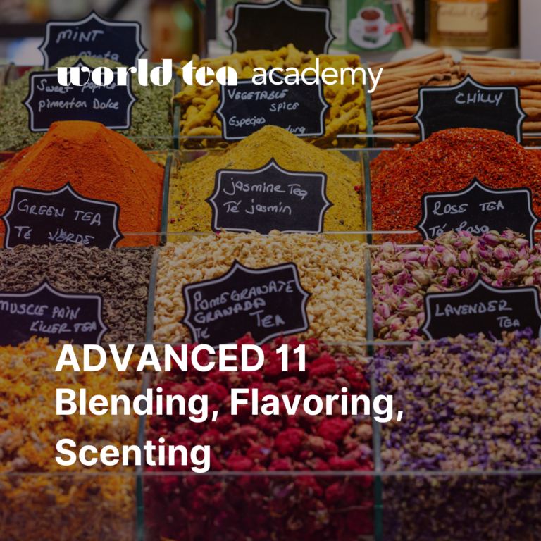 How to Become a Certified Tea Sommelier – World Tea Academy