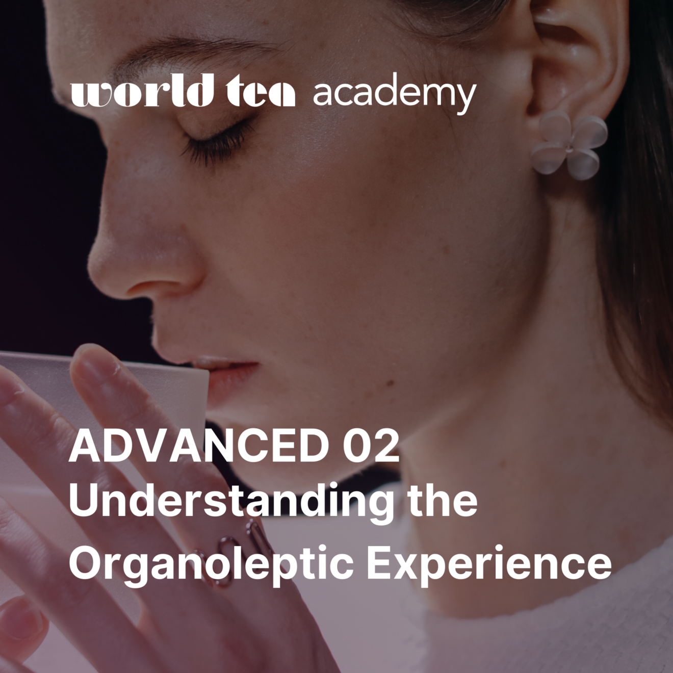 How to Become a Certified Tea Sommelier – World Tea Academy