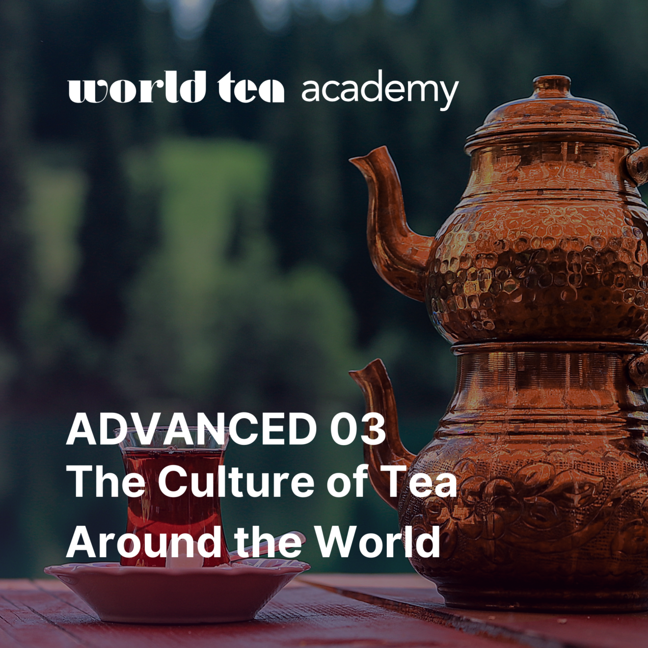 How to Become a Certified Tea Sommelier – World Tea Academy