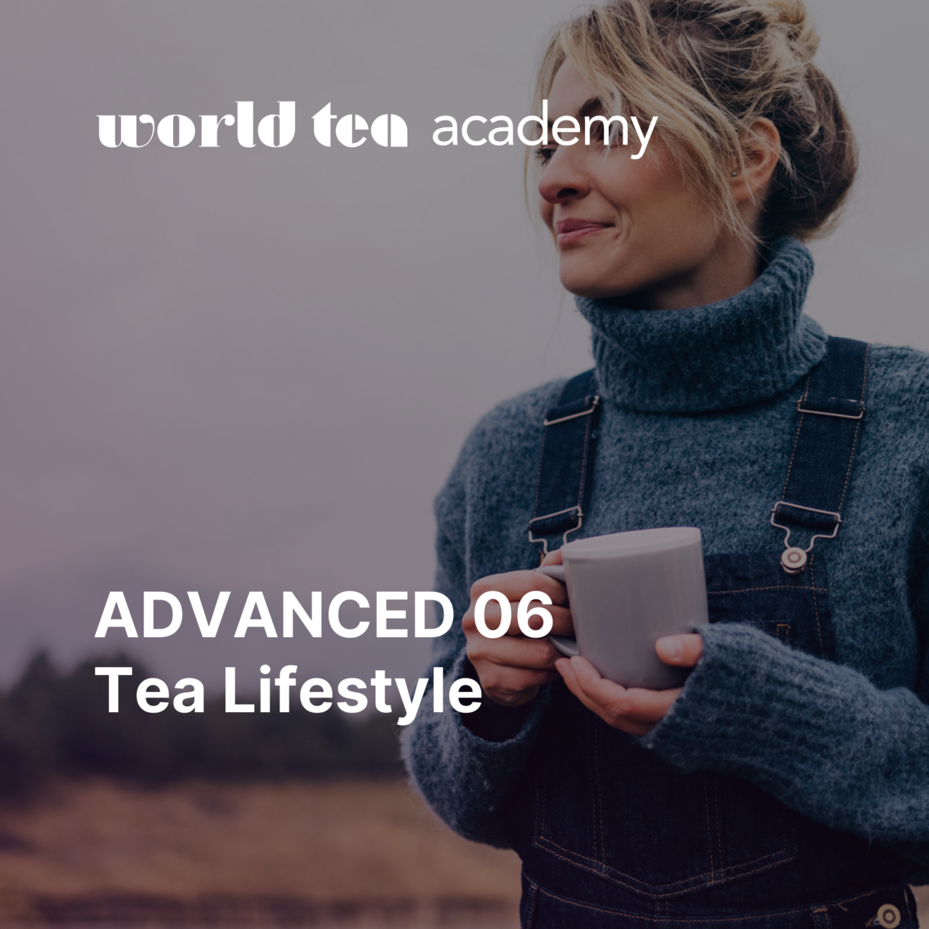 How to Become a Certified Tea Specialist – World Tea Academy