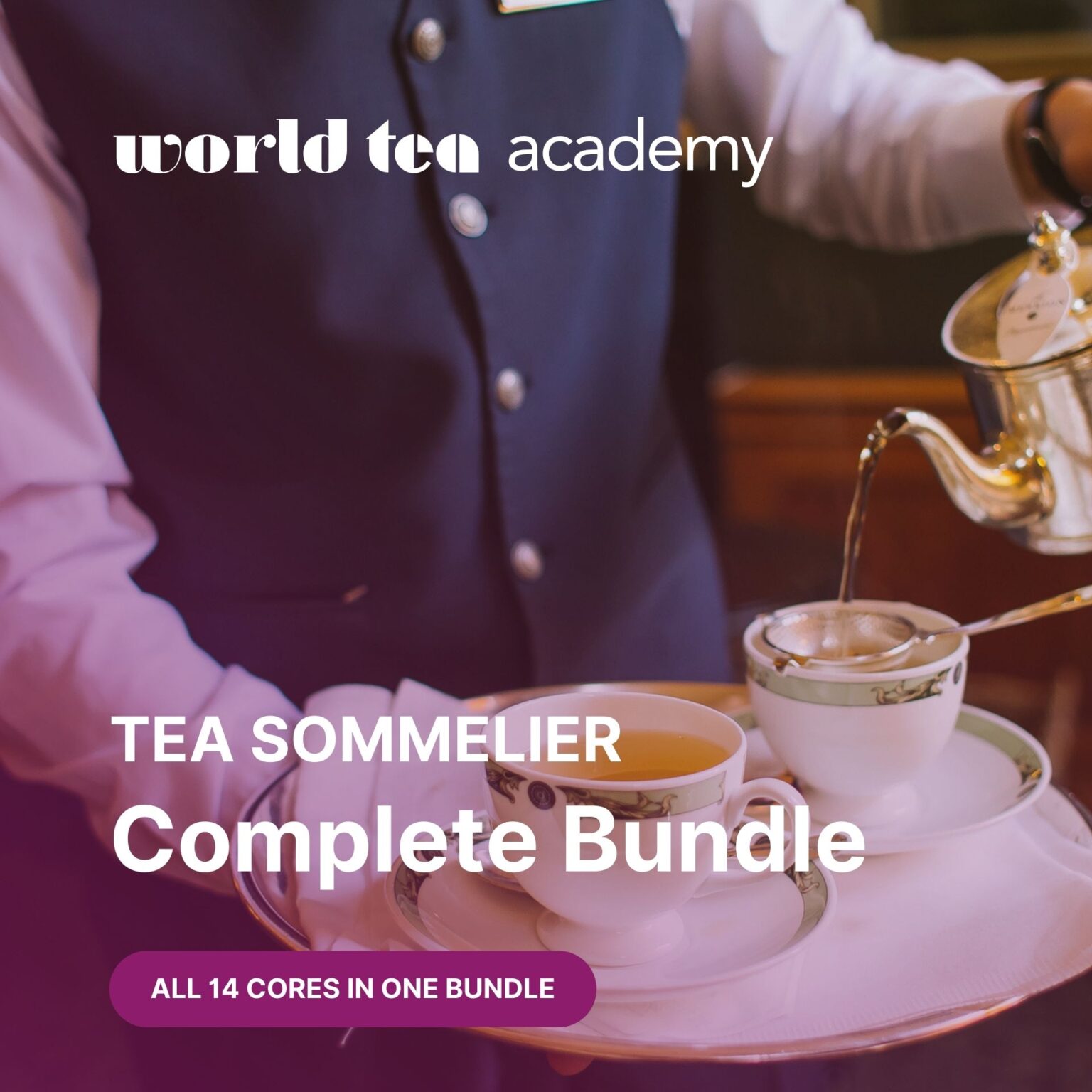 World Tea Academy: Tea Sommelier Package – World Tea Academy